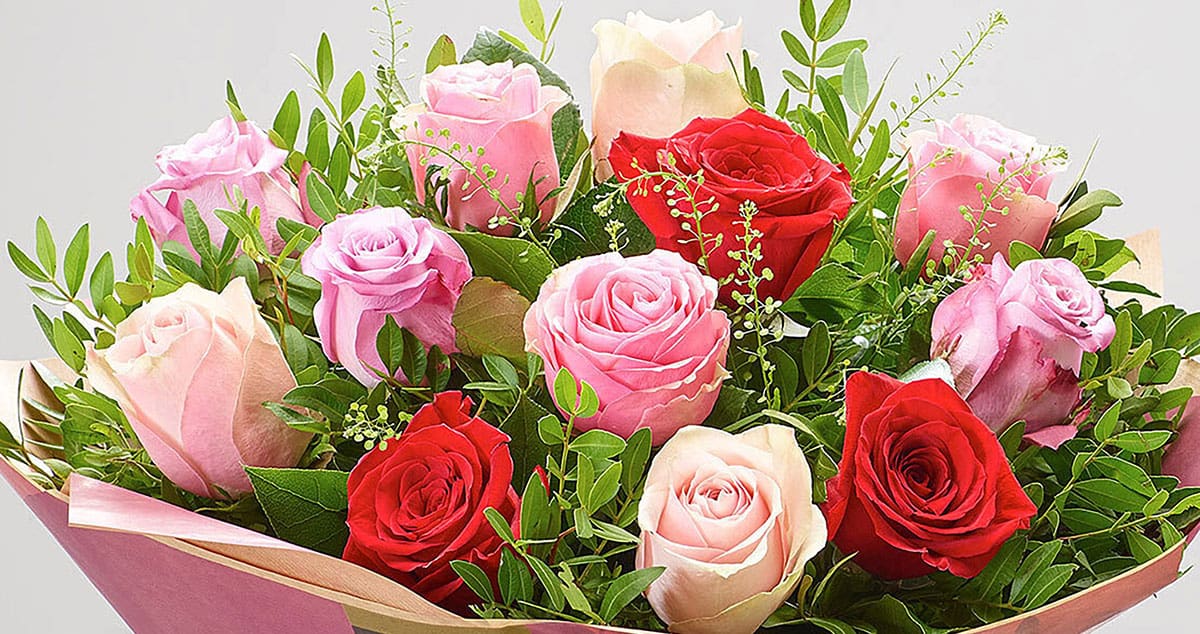 Colours Of Roses & Their Meanings: Complete Guide | Courts Of Rayleigh ...